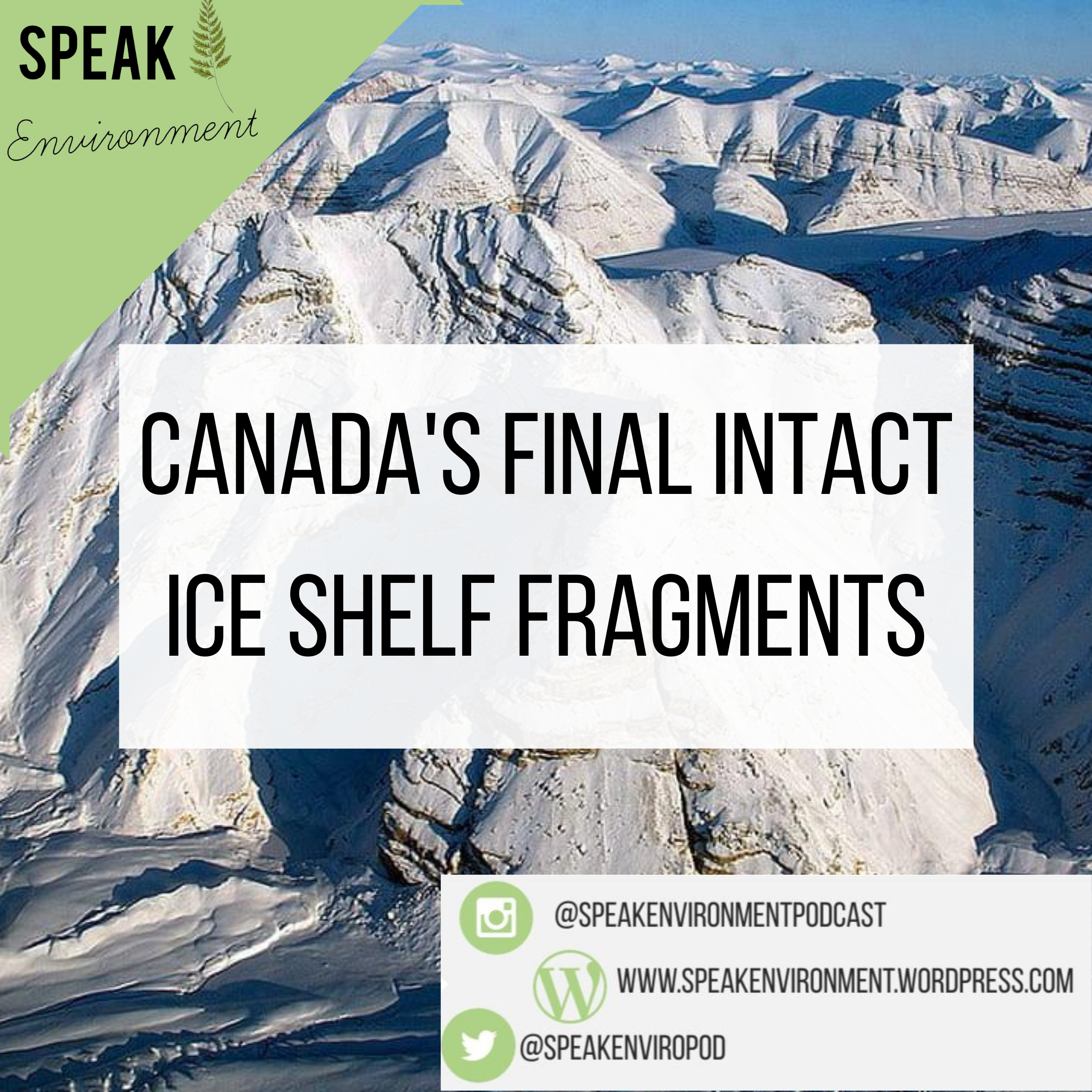 Canada’s Largest Remaining Arctic Ice Shelf Collapses – SPEAK ENVIRONMENT